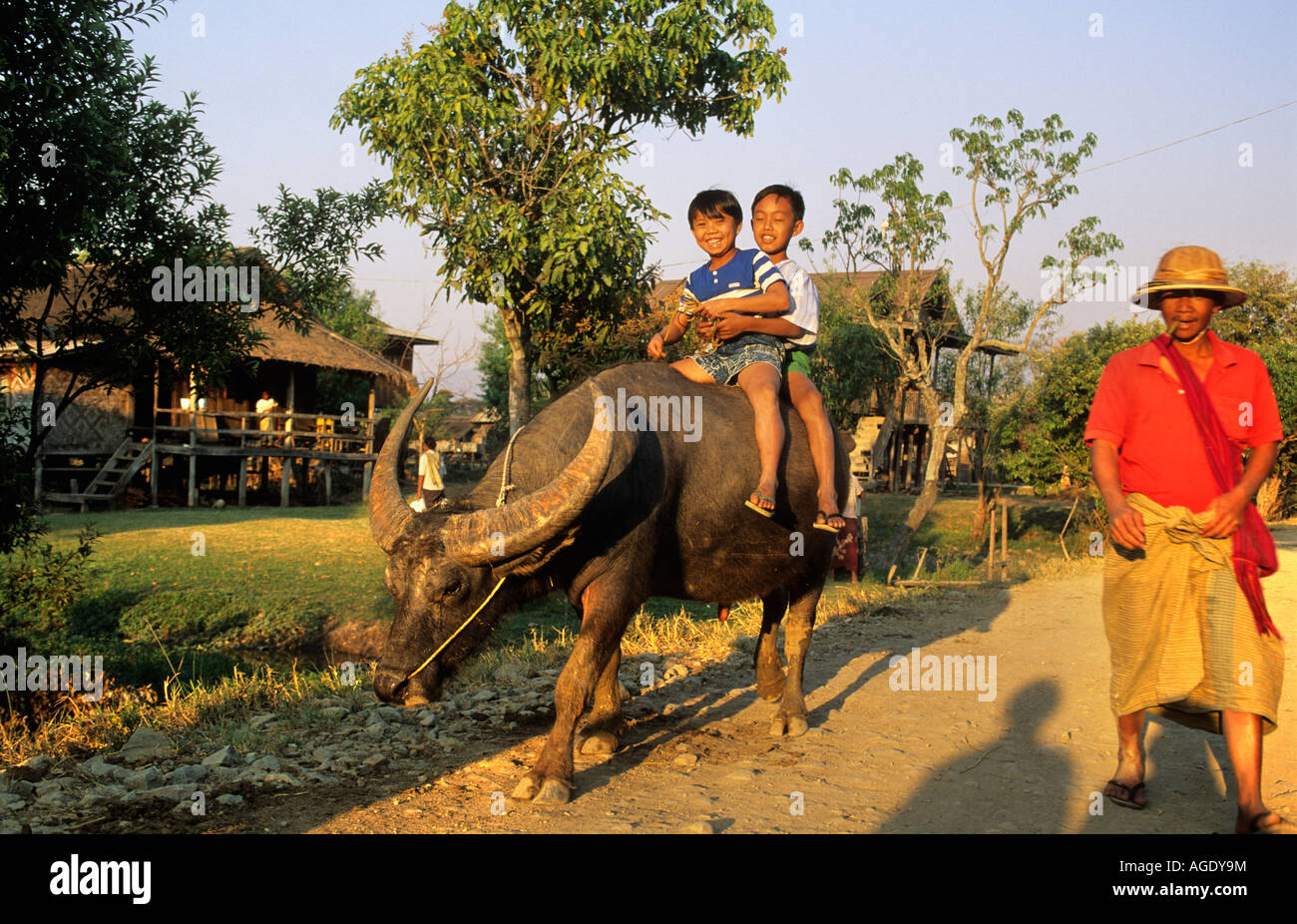 Myanmar, Mandalay, Boys sitting on buffalo Stock Photo - Alamy