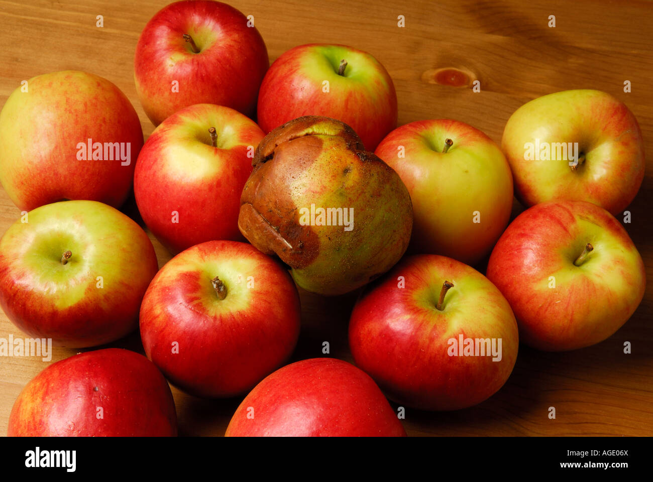 Degenertation hi-res stock photography and images - Alamy