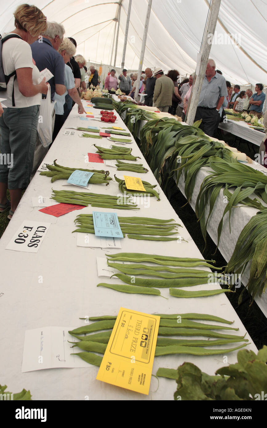 Display of prize vegetables at the Wensleydale Show Yorkshire Stock ...