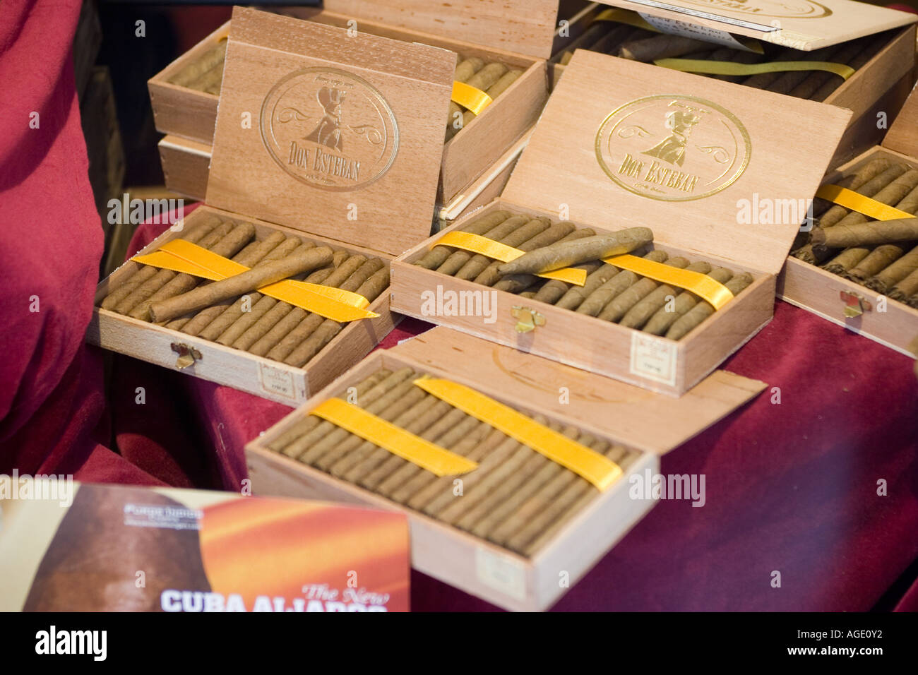 Shop Window Display The Hague Netherlands Stock Photo - Alamy