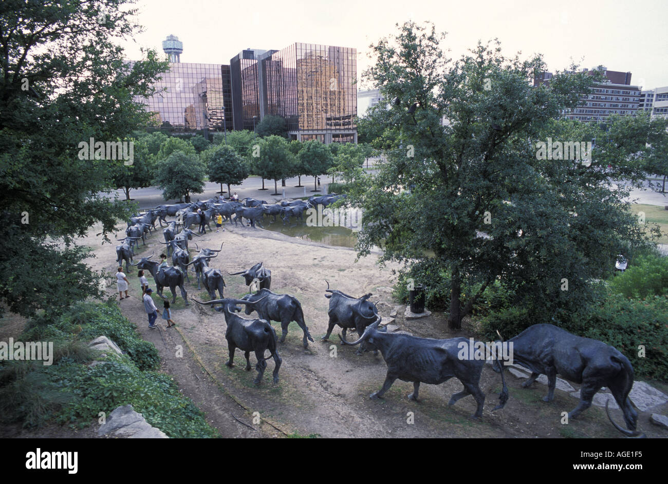 Dallas texas cattle sculptures hi-res stock photography and images - Alamy
