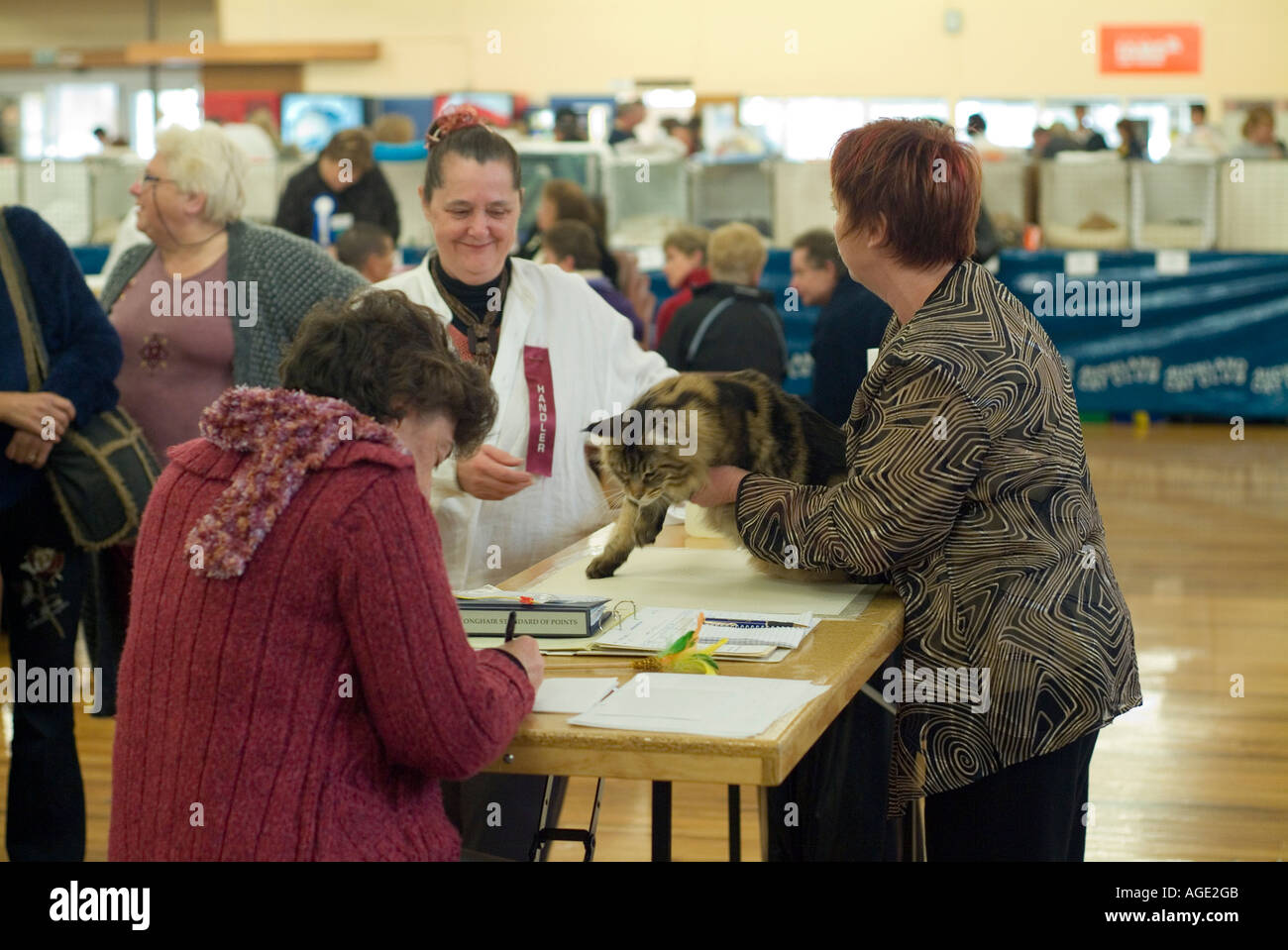 Cat Fanciers Show Stock Photo - Alamy