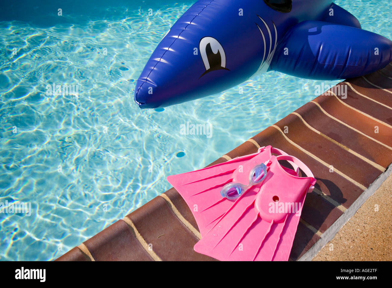 Inflatable shark in a backyard pool Stock Photo - Alamy