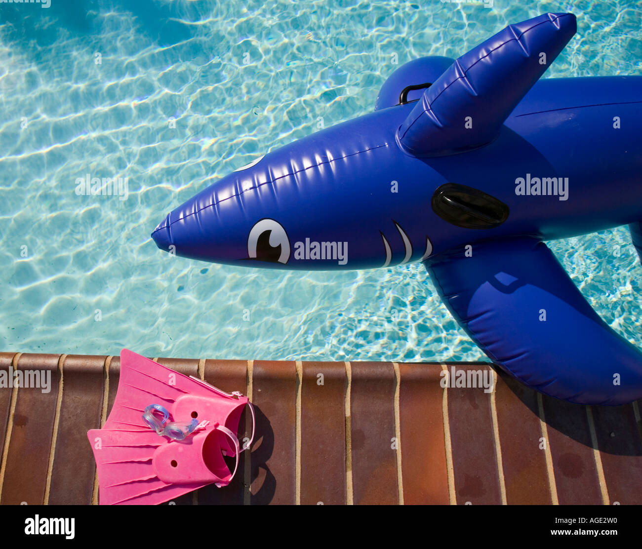 Inflateable shark in a backyard pool Stock Photo - Alamy
