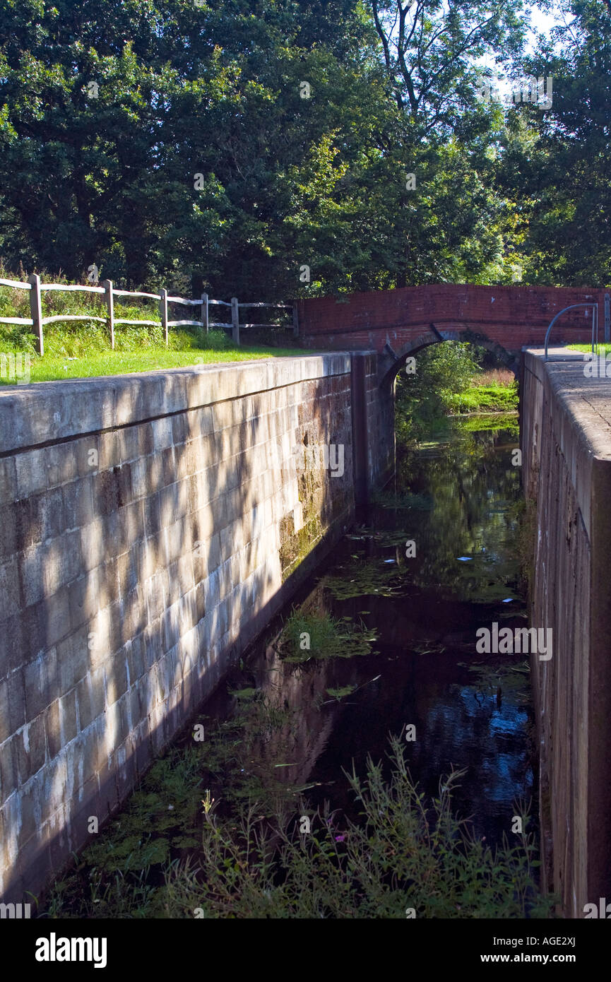 An old disused lock on the Wey Arun Canal near Alfold Surrey, England ...