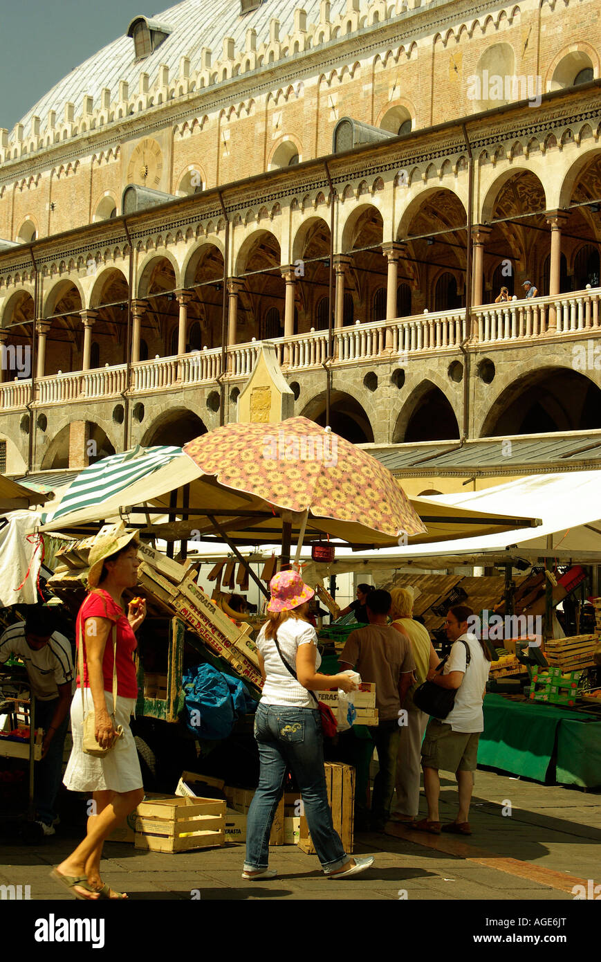 Padua (Padova) Italy, daily fruit and vegetable market in Piazza delle ...