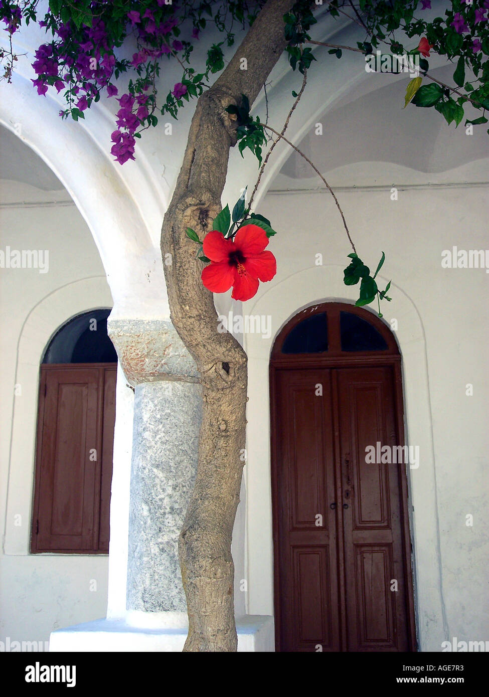 Hibiscus Courtyard Panormitis Monastery of the Archangel Michael Greek ...