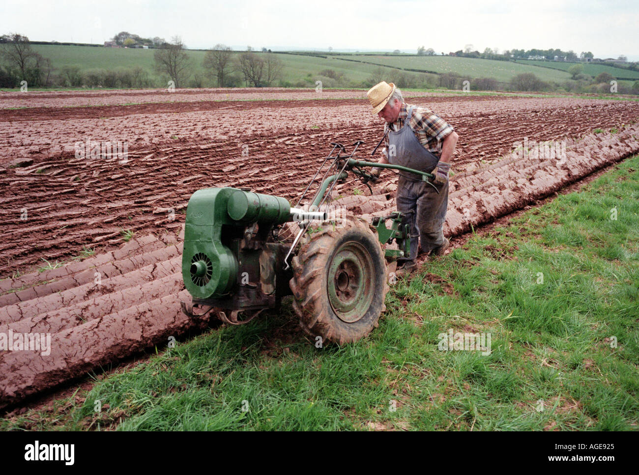 A farmer using a vintage petrol powered hand plough in a field in the ...
