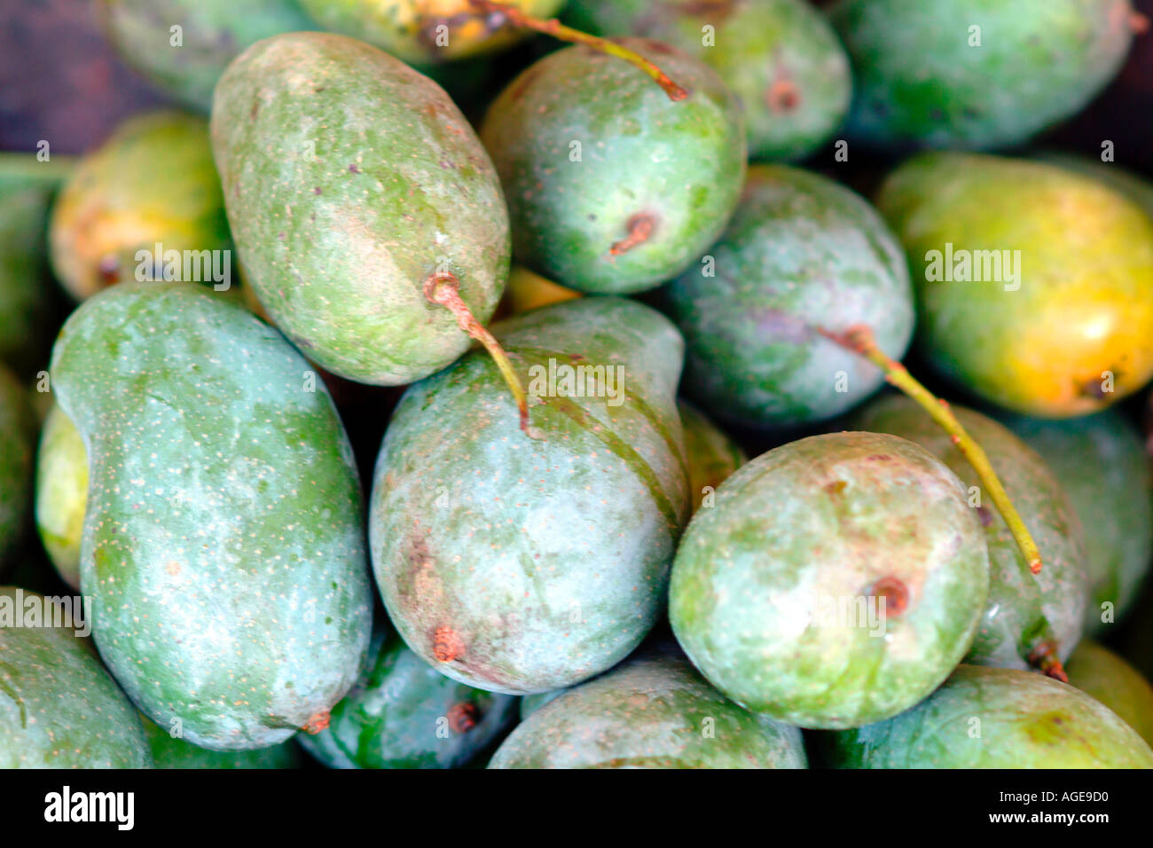 Dusty fruits hi-res stock photography and images - Alamy