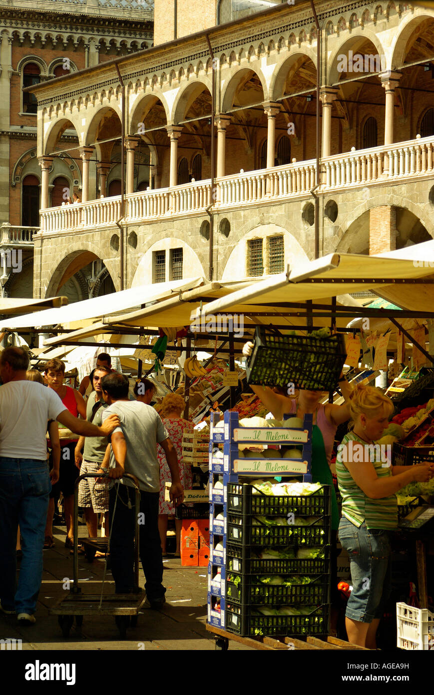 Italian fresh fruit and vegetable market Padua (Padova) in front of the ...