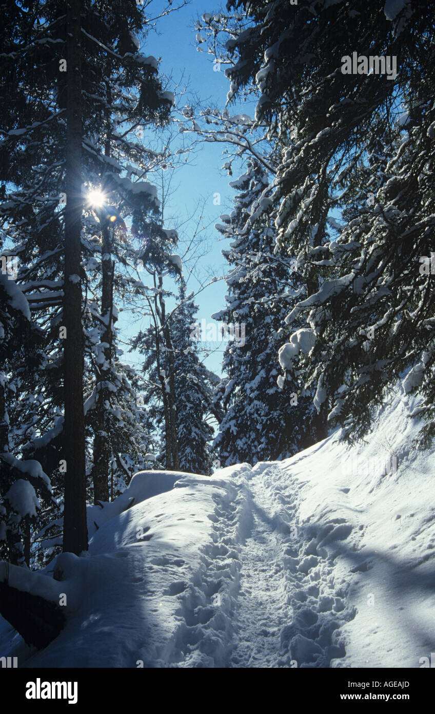Bavaria - landscape - snow Stock Photo - Alamy