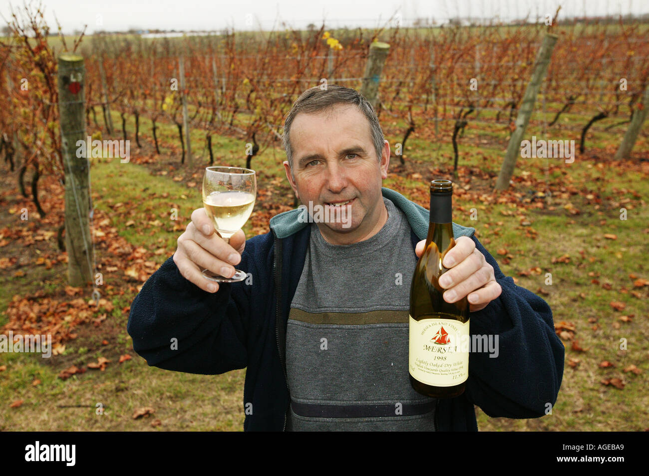 Mersea island essex vineyard hi-res stock photography and images - Alamy