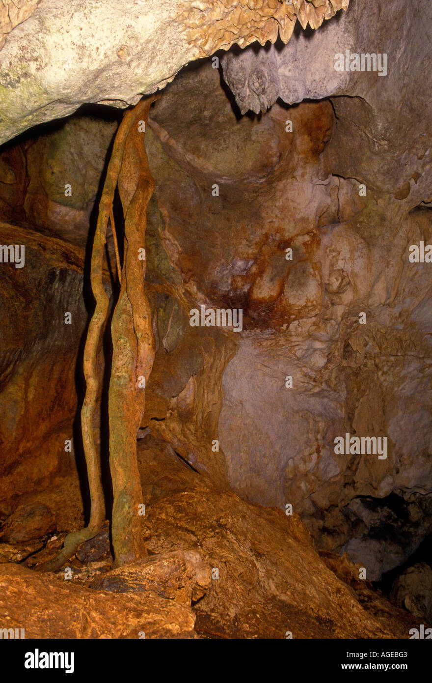rock formation, column, Balankanche Cave, Gruta de Balankanche ...