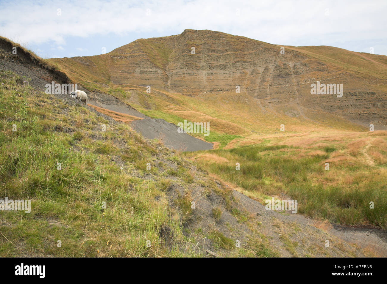 Mam Tor Peak District national park Derbyshire England Stock Photo - Alamy