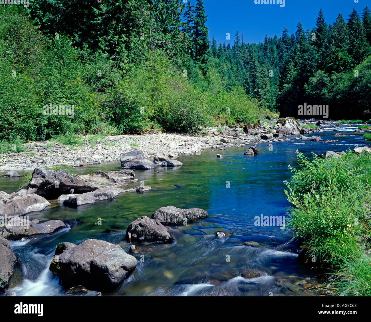 Santiam river hi-res stock photography and images - Alamy