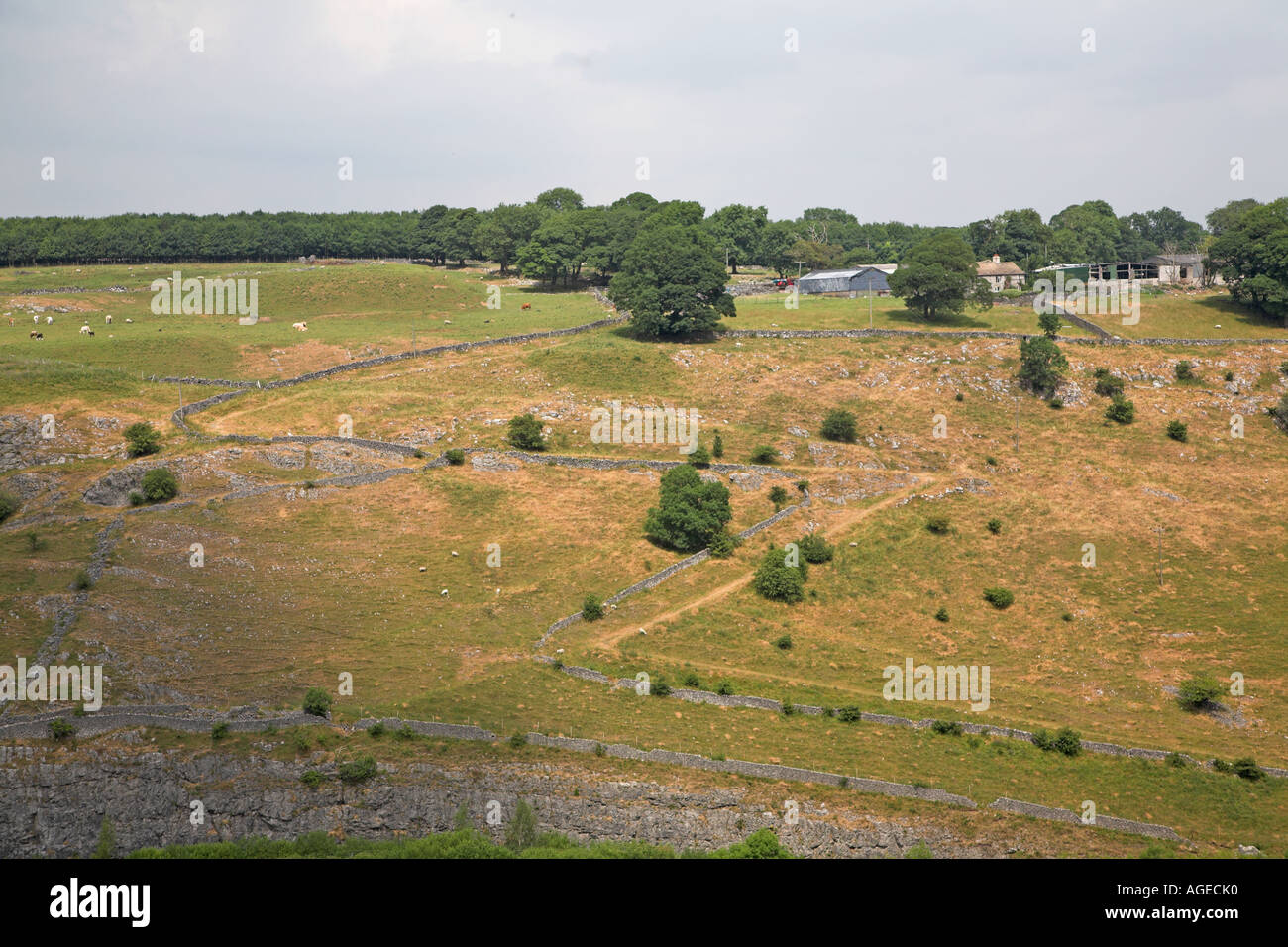 Wooded limestone gorge Peak District national park Derbyshire England ...