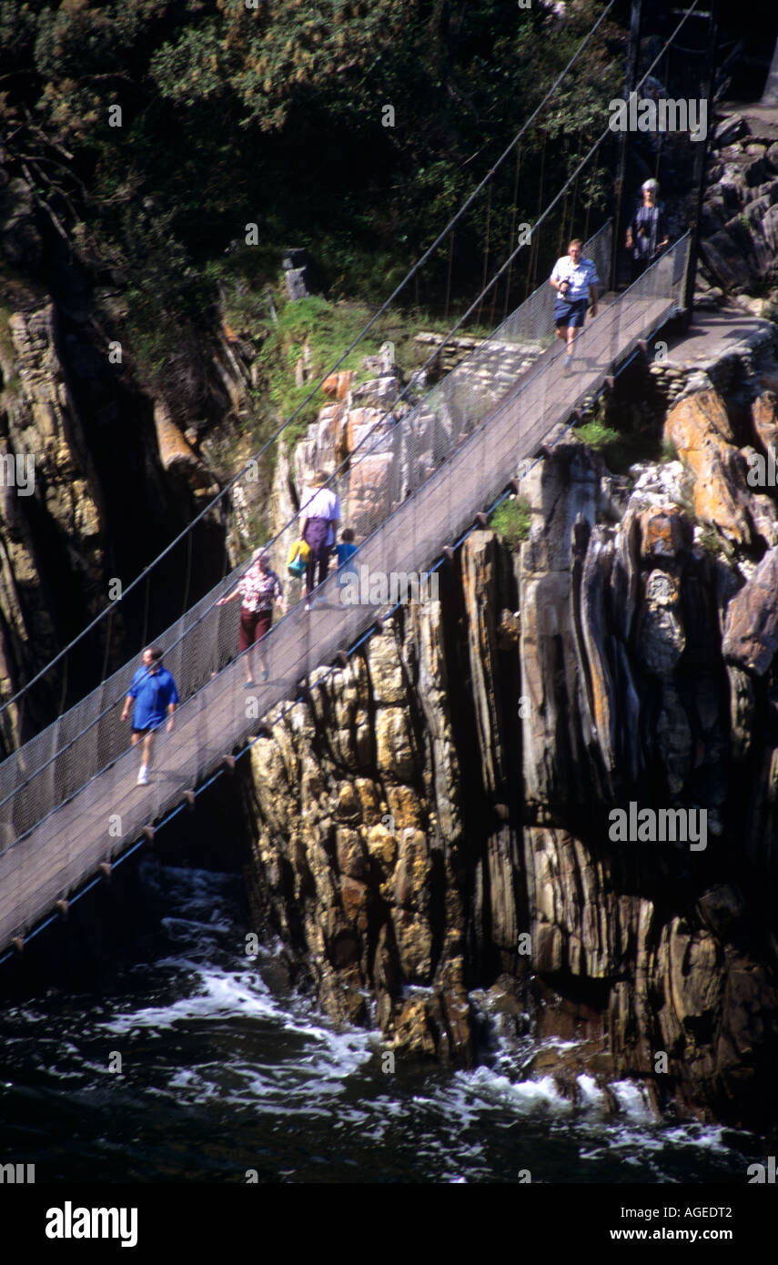 rope bridge, Garden Route, South Africa Stock Photo - Alamy