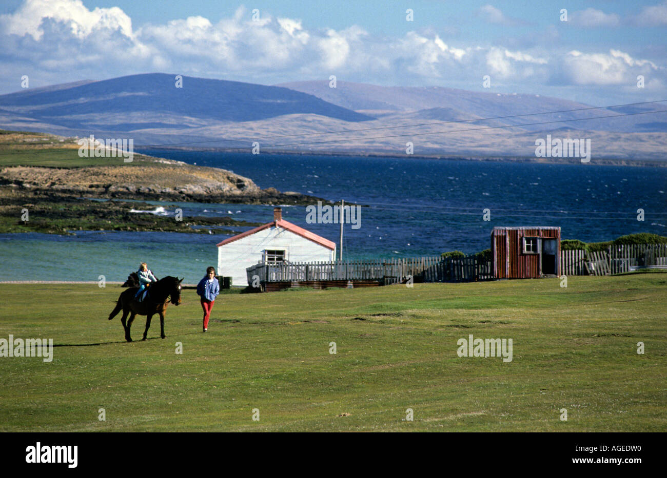 Pebble Island, Falkland Islands Stock Photo - Alamy