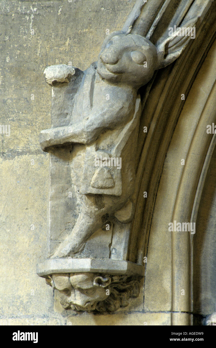Pilgrim rabbit, St Mary's Church, Beverley, Yorkshire; Humberside Stock ...