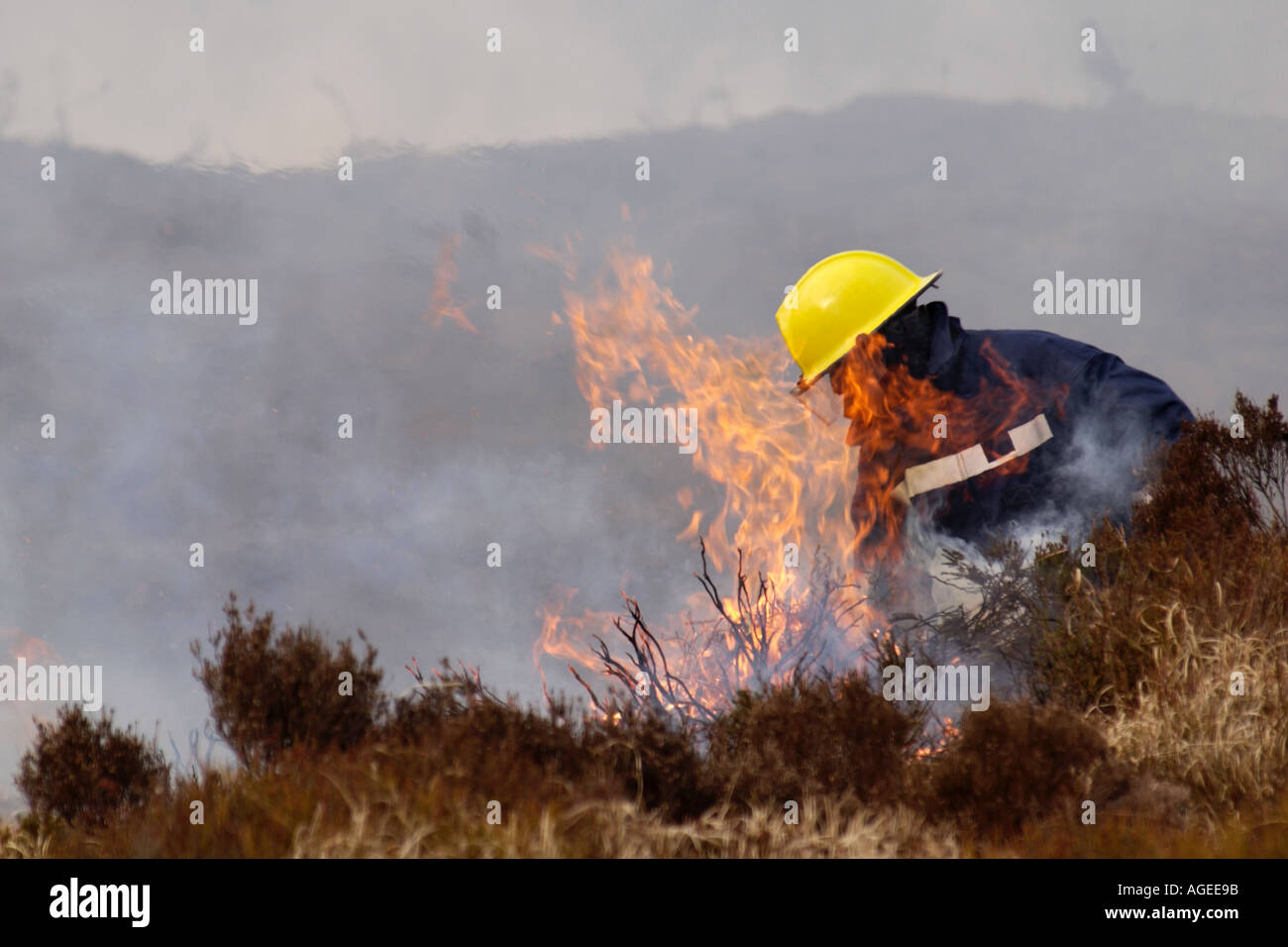 Uk wildfires hi-res stock photography and images - Alamy