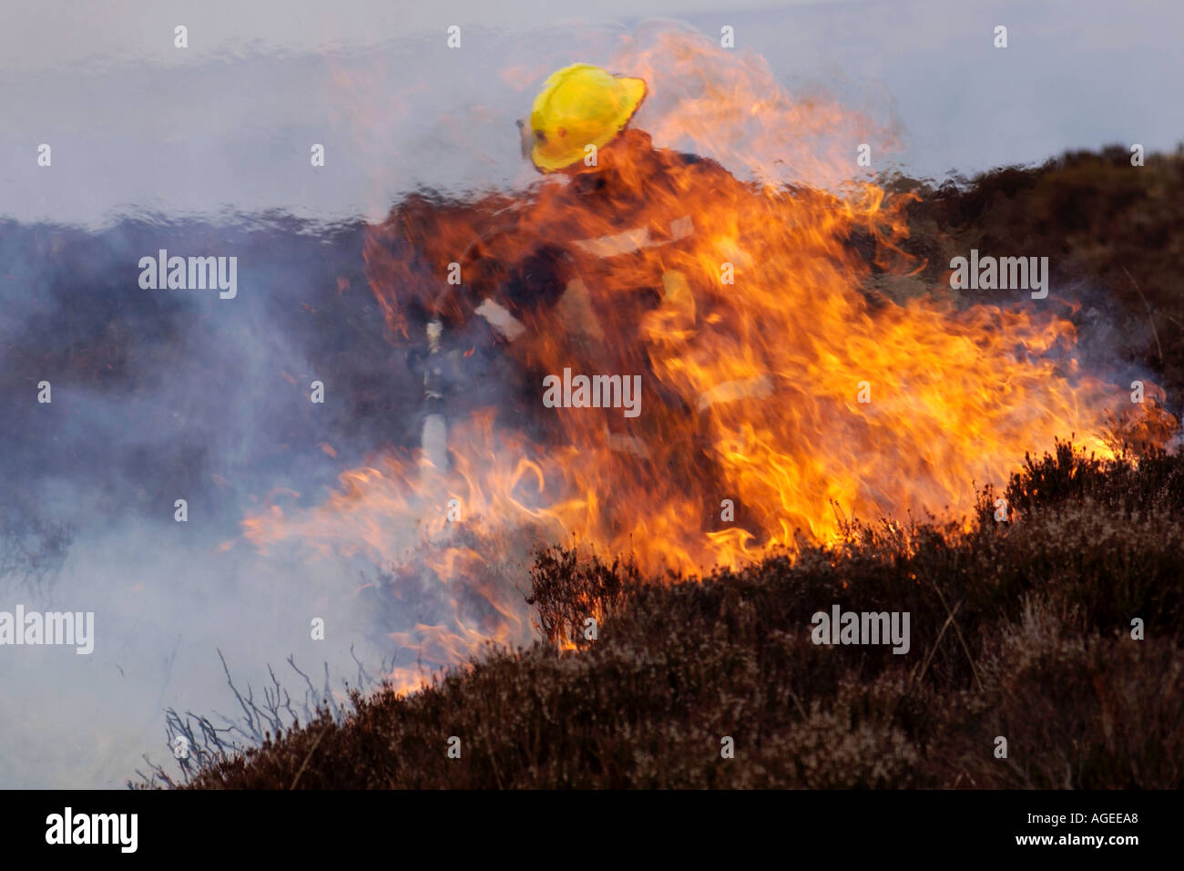 Fireman firefighter battles to control a fire on moorland in the Brecon ...