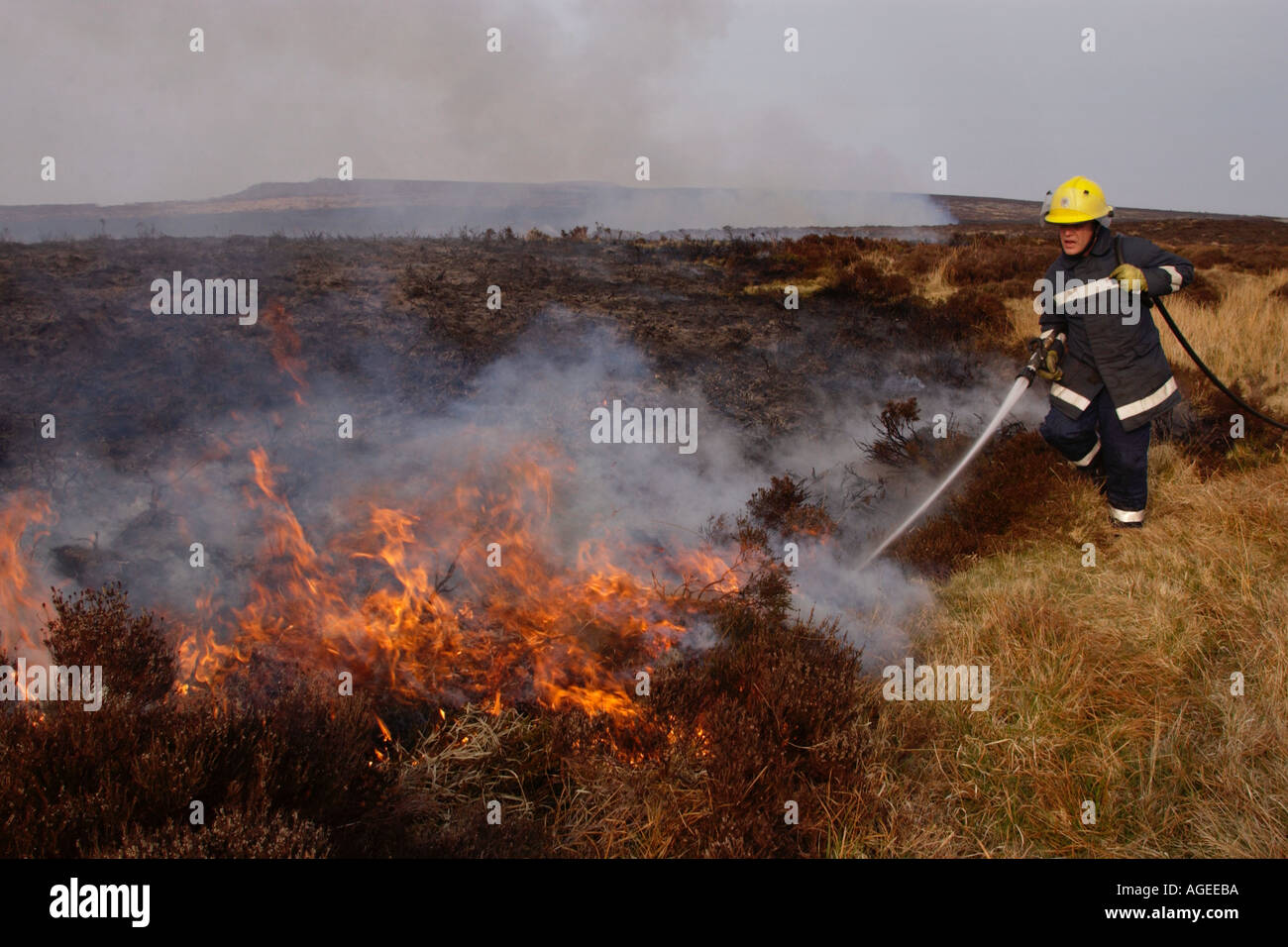 Fireman firefighter battles to control a fire on heather moorland in ...