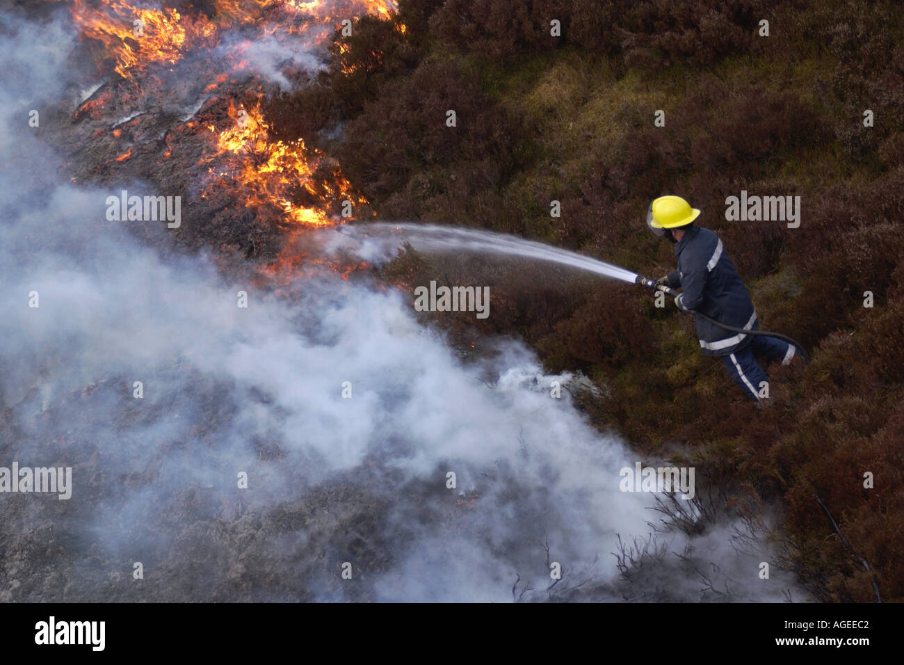 Fireman firefighter battles to control a wildfire on heather moorland ...