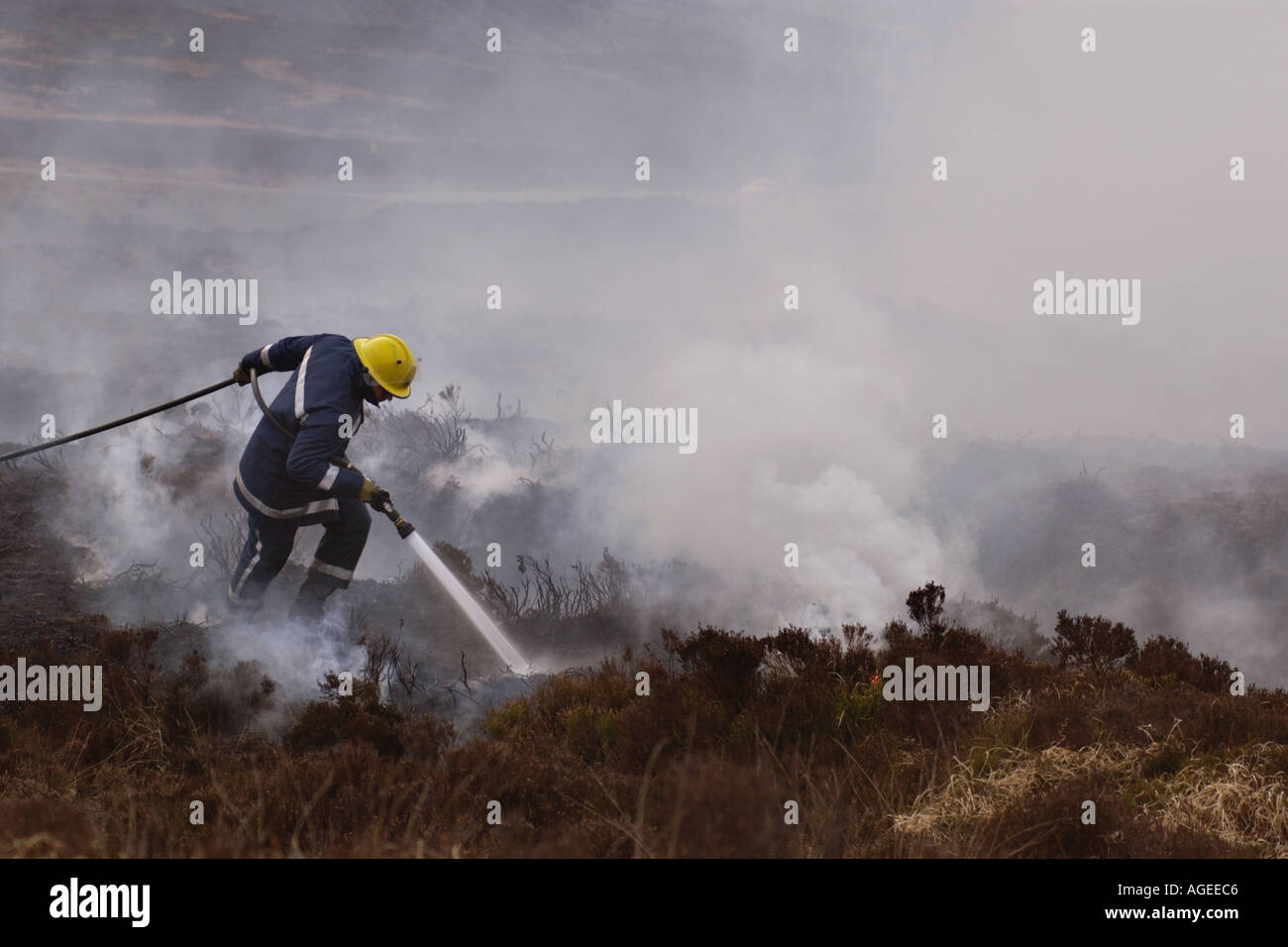 Fireman firefighter battles to control a wildfire on heather moorland ...