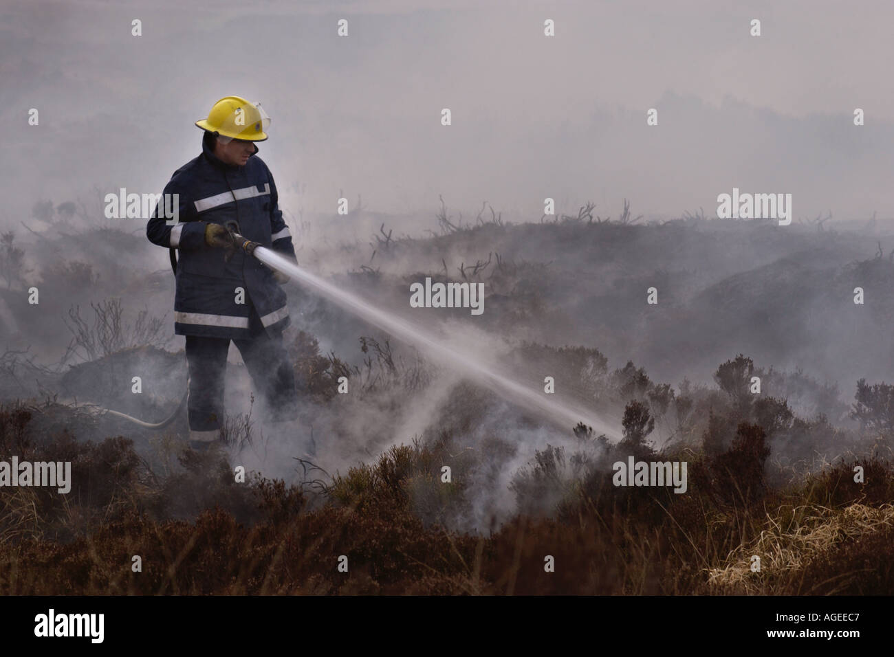 Fireman firefighter battles to control a fire on moorland in the Brecon ...