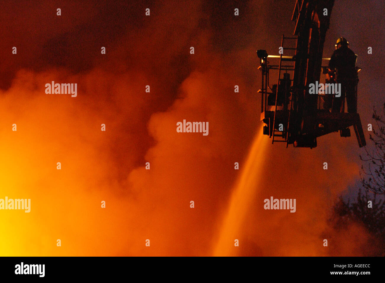 Rogerstone hi-res stock photography and images - Alamy