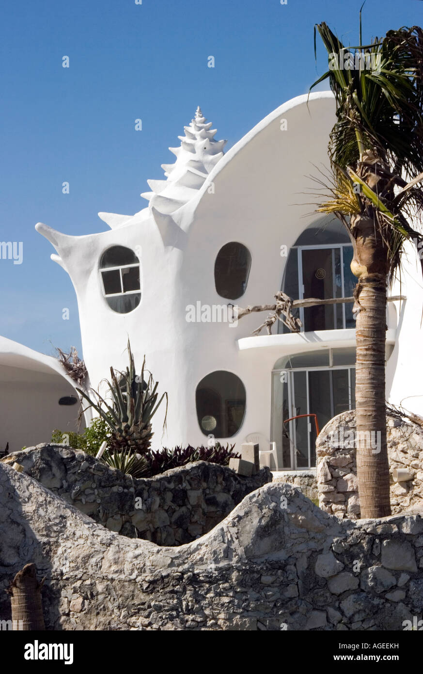 The construction of seashell hi-res stock photography and images - Alamy