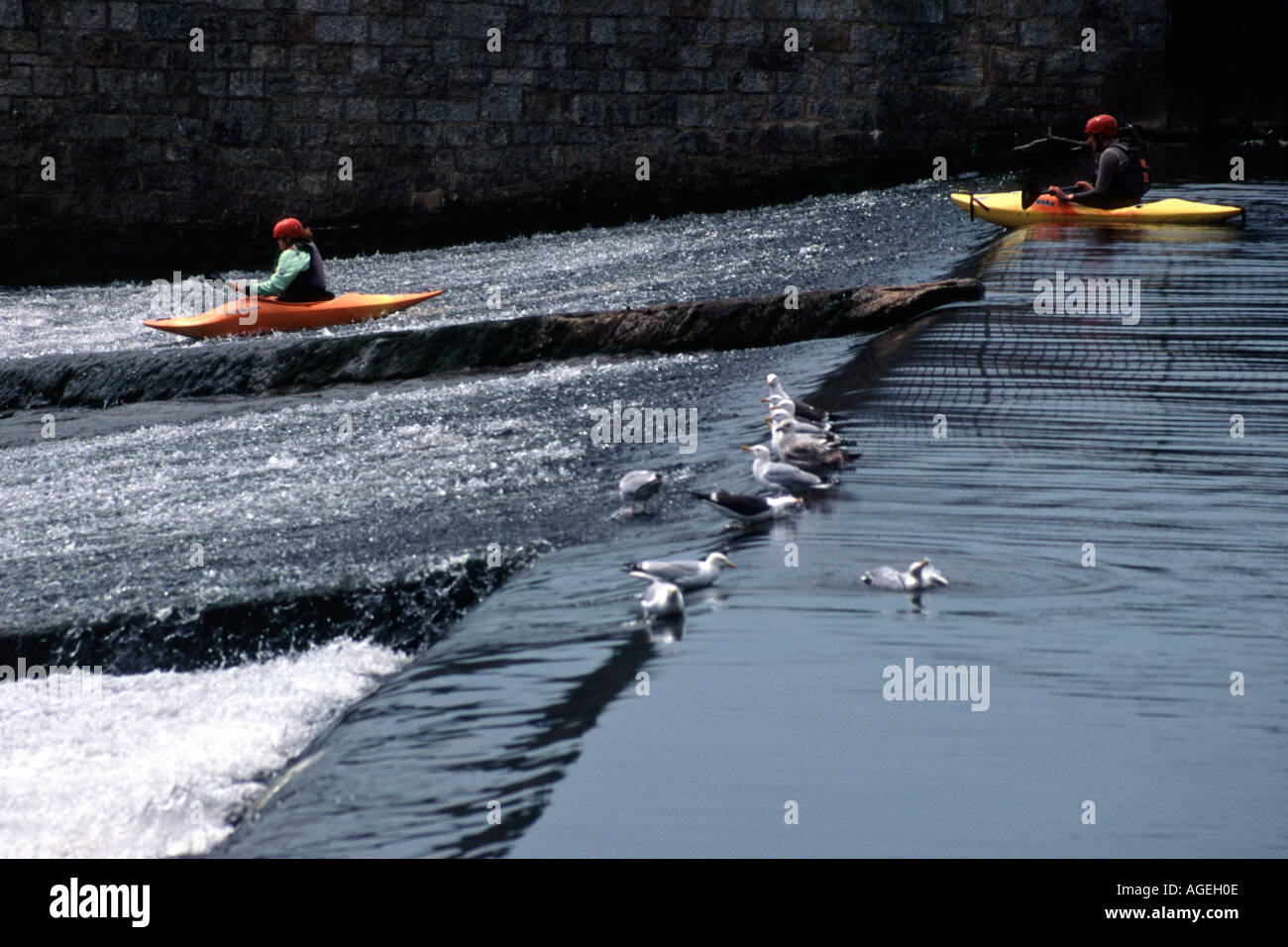 2 people rowing canoes Stock Photo - Alamy