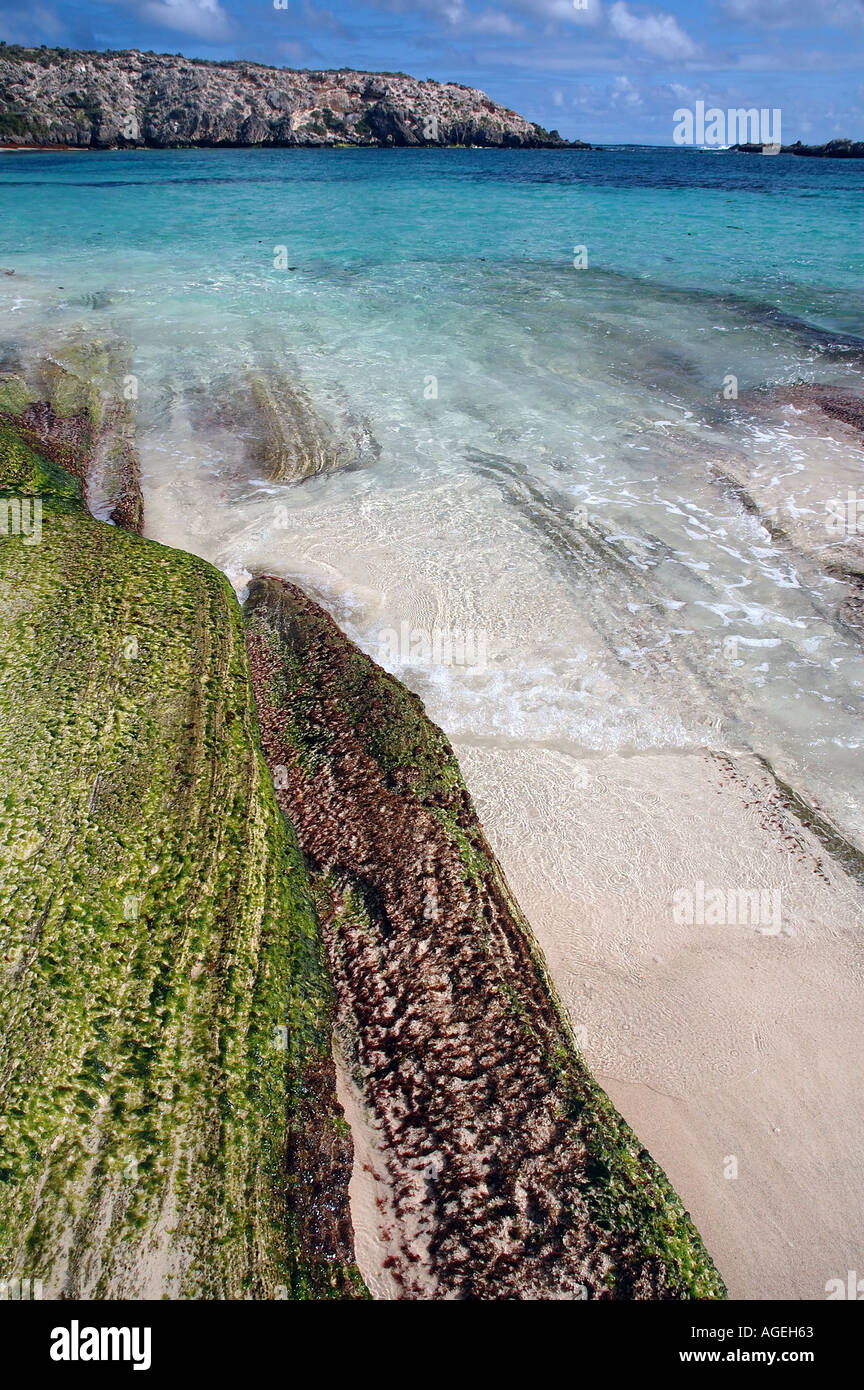 Eagle Bay Rottnest Island Western Australia Stock Photo - Alamy