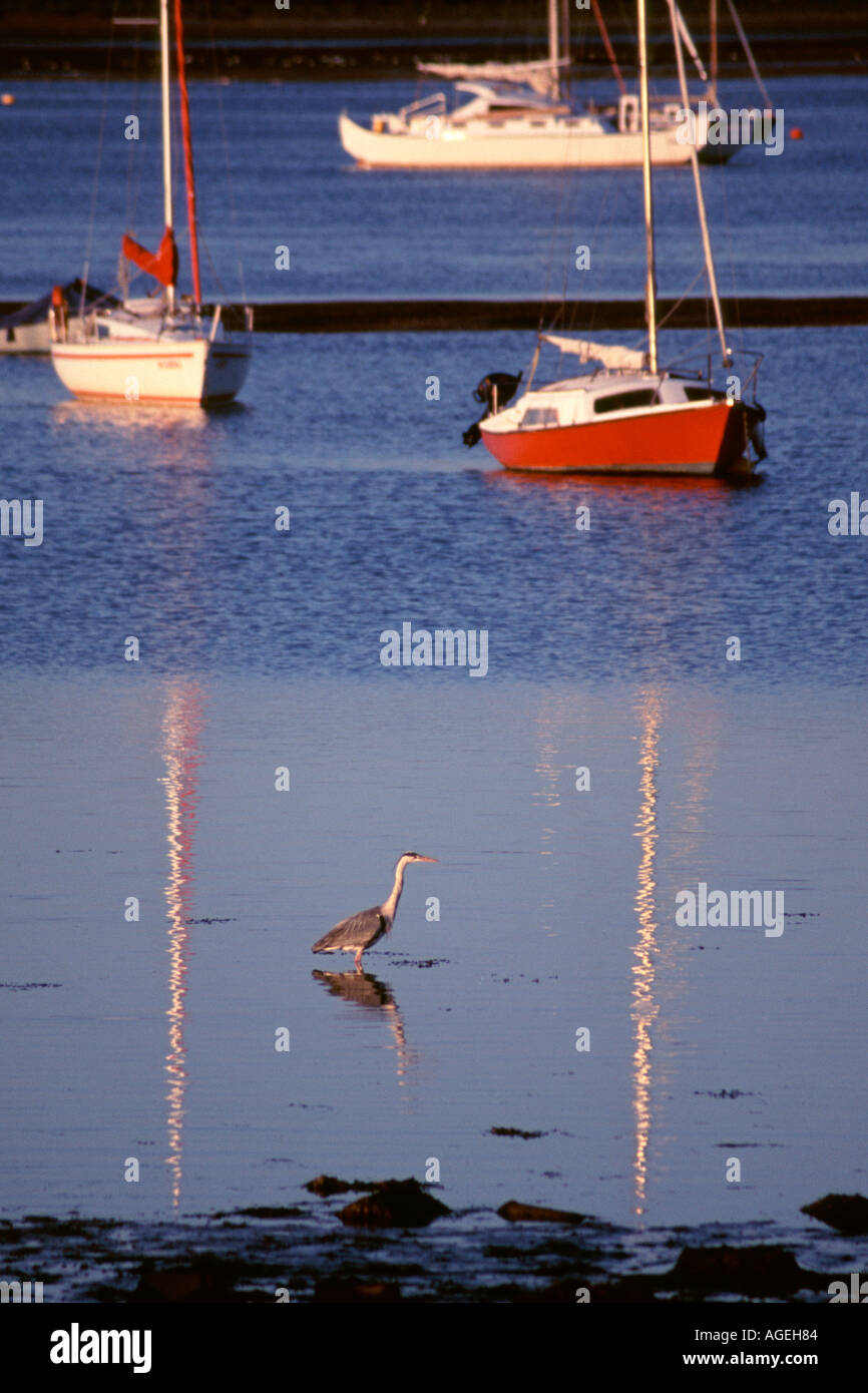 Exe estuary water safety hi-res stock photography and images - Alamy