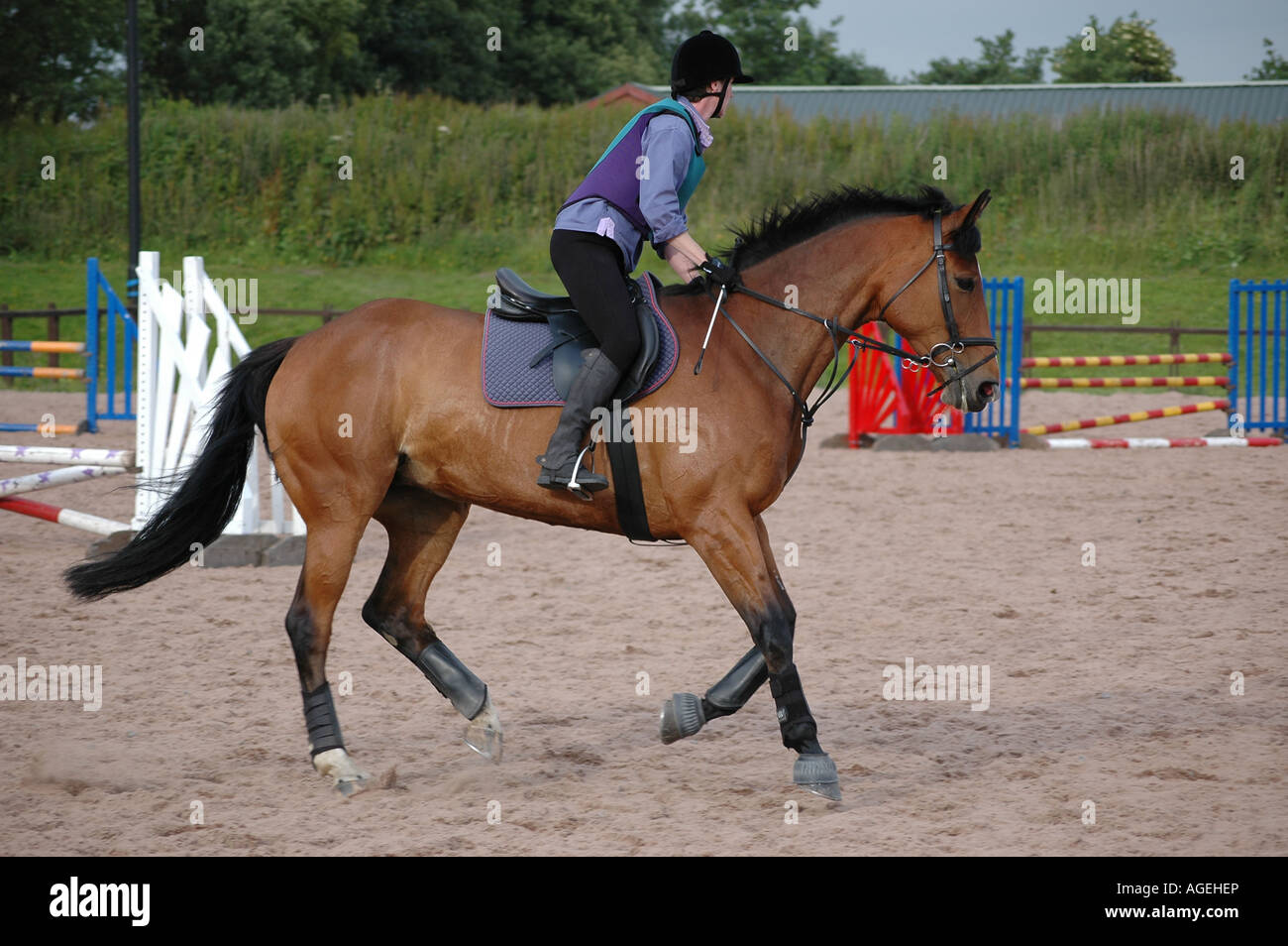 Cantering horse hi-res stock photography and images - Alamy