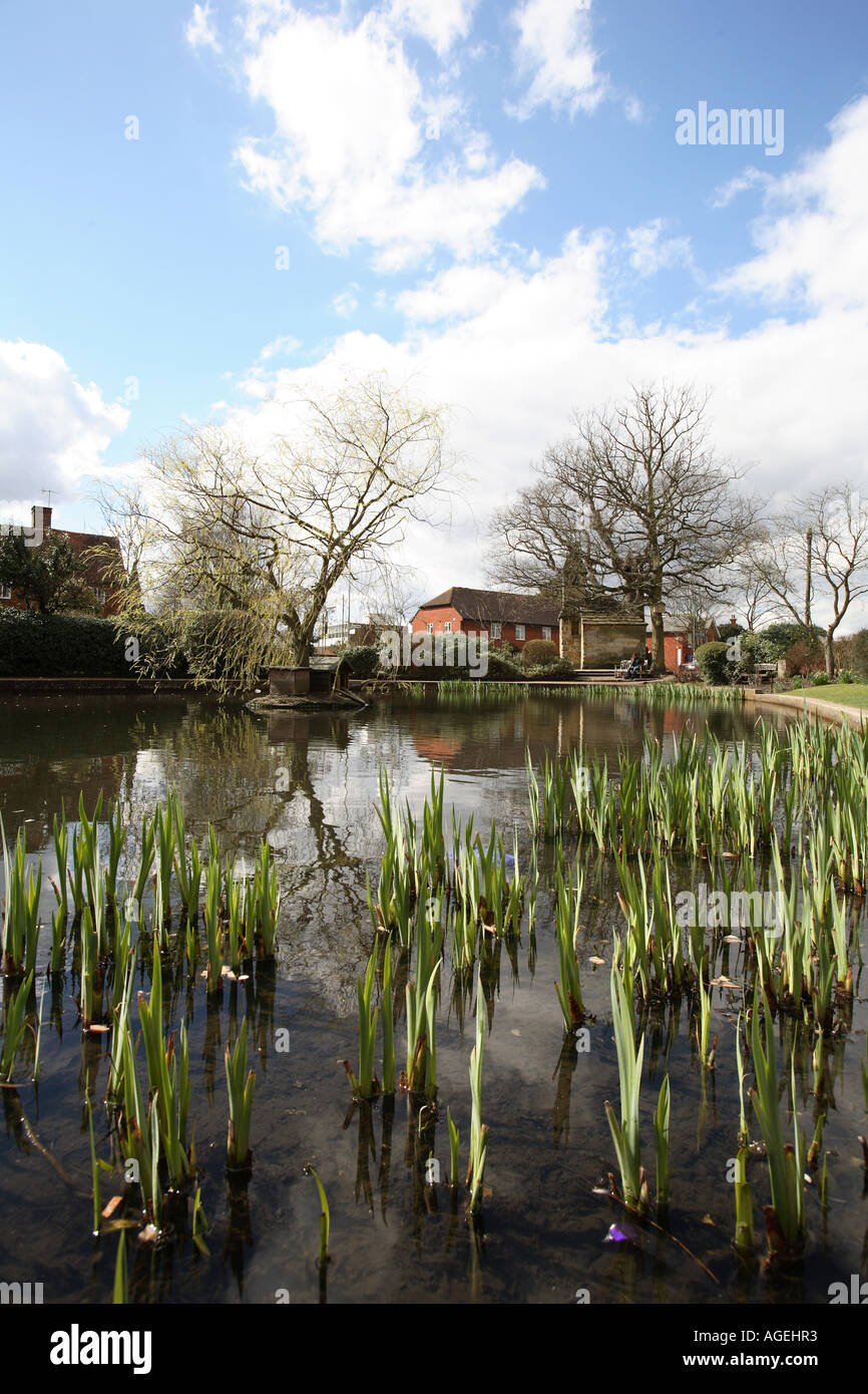 Lingfield, Surrey, England Stock Photo - Alamy
