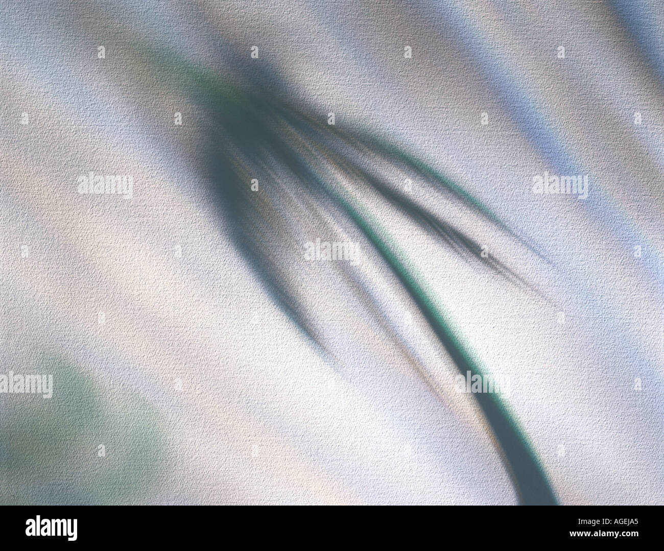 Shadow of palm tree shadow created with dappled light. Abstract and ...