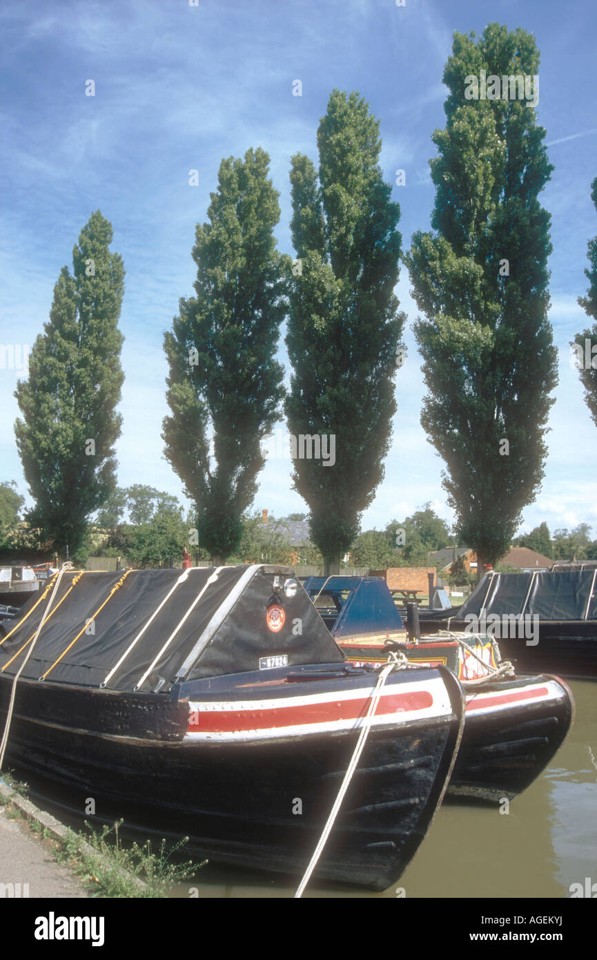 Canal narrowboats and Lombardy poplar trees Stock Photo - Alamy