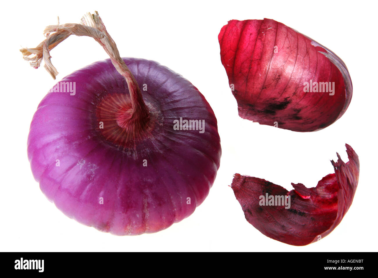 Violet onion with skin isolated on white background Stock Photo - Alamy