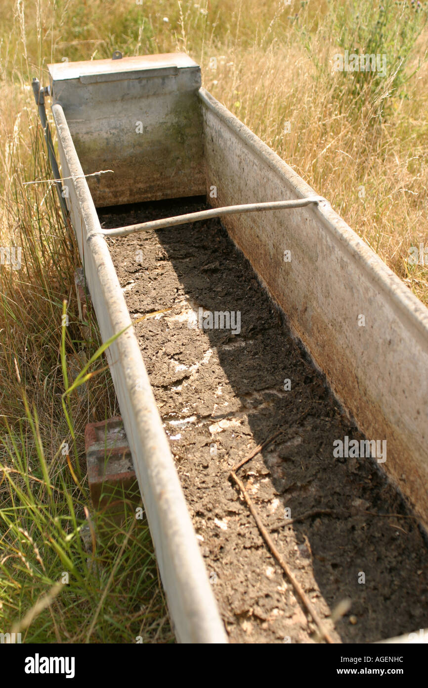 Animal drinking rain hi-res stock photography and images - Alamy