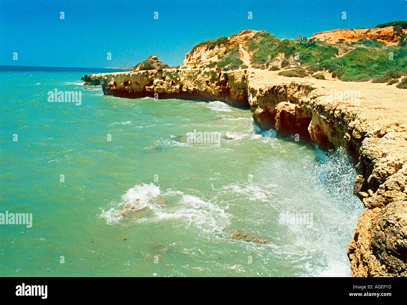 Beach life albufeira algarve portugal hi-res stock photography and ...