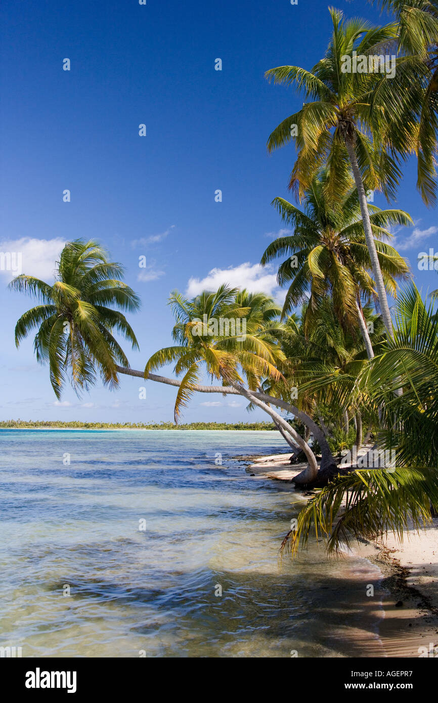 Tuamotu islands hi-res stock photography and images - Alamy