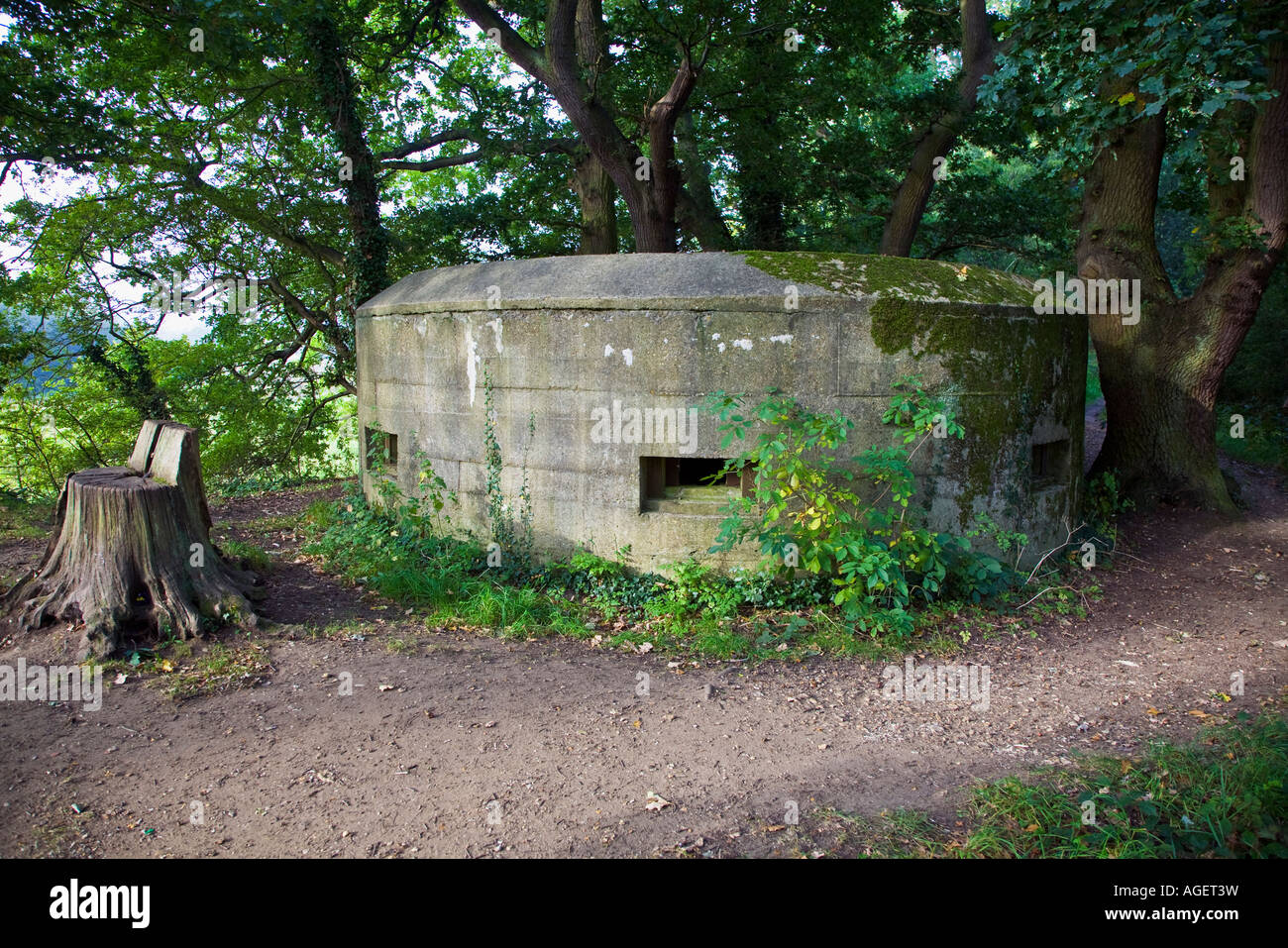 1940 World War II Bunker or Pill Box beside the River Wey Navigations ...