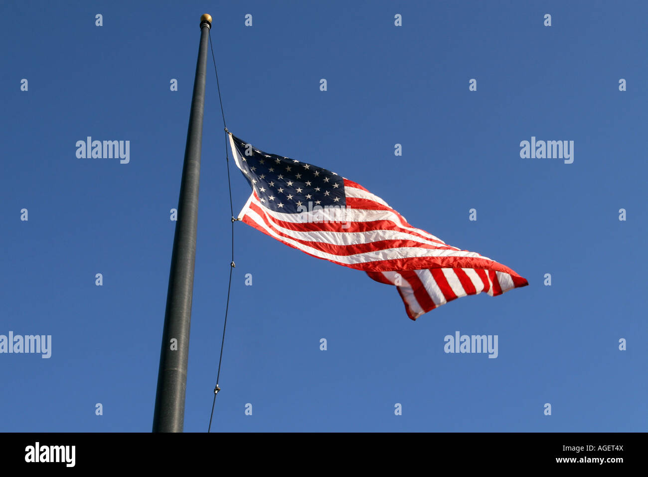 An American flag flying in brisk wind Stock Photo - Alamy