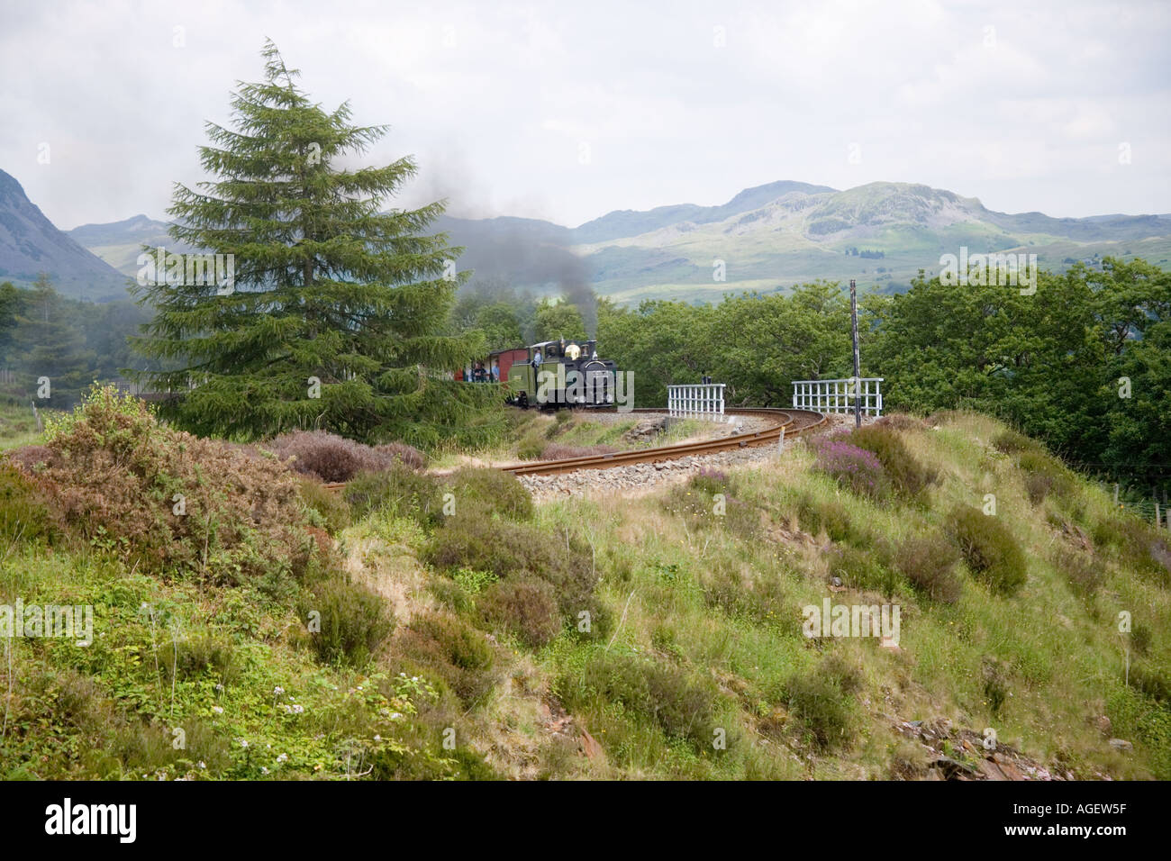 Steam Train leaving Dduallt station on route to Blaenau Ffestiniog ...