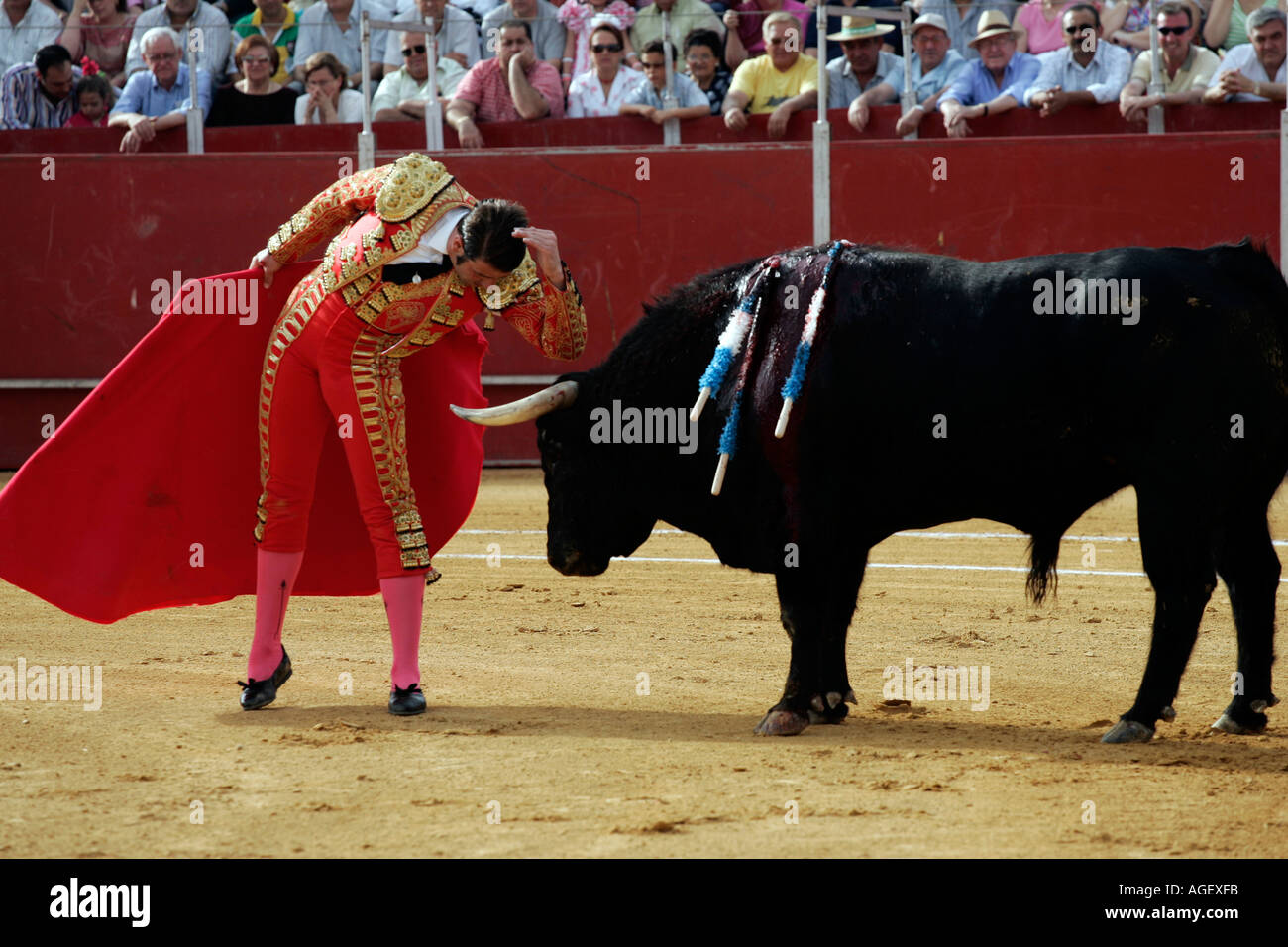 Muleta fighting hi-res stock photography and images - Alamy