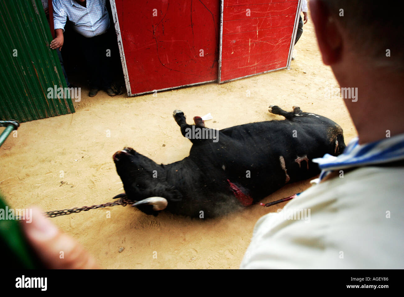 Dead toreador hi-res stock photography and images - Alamy