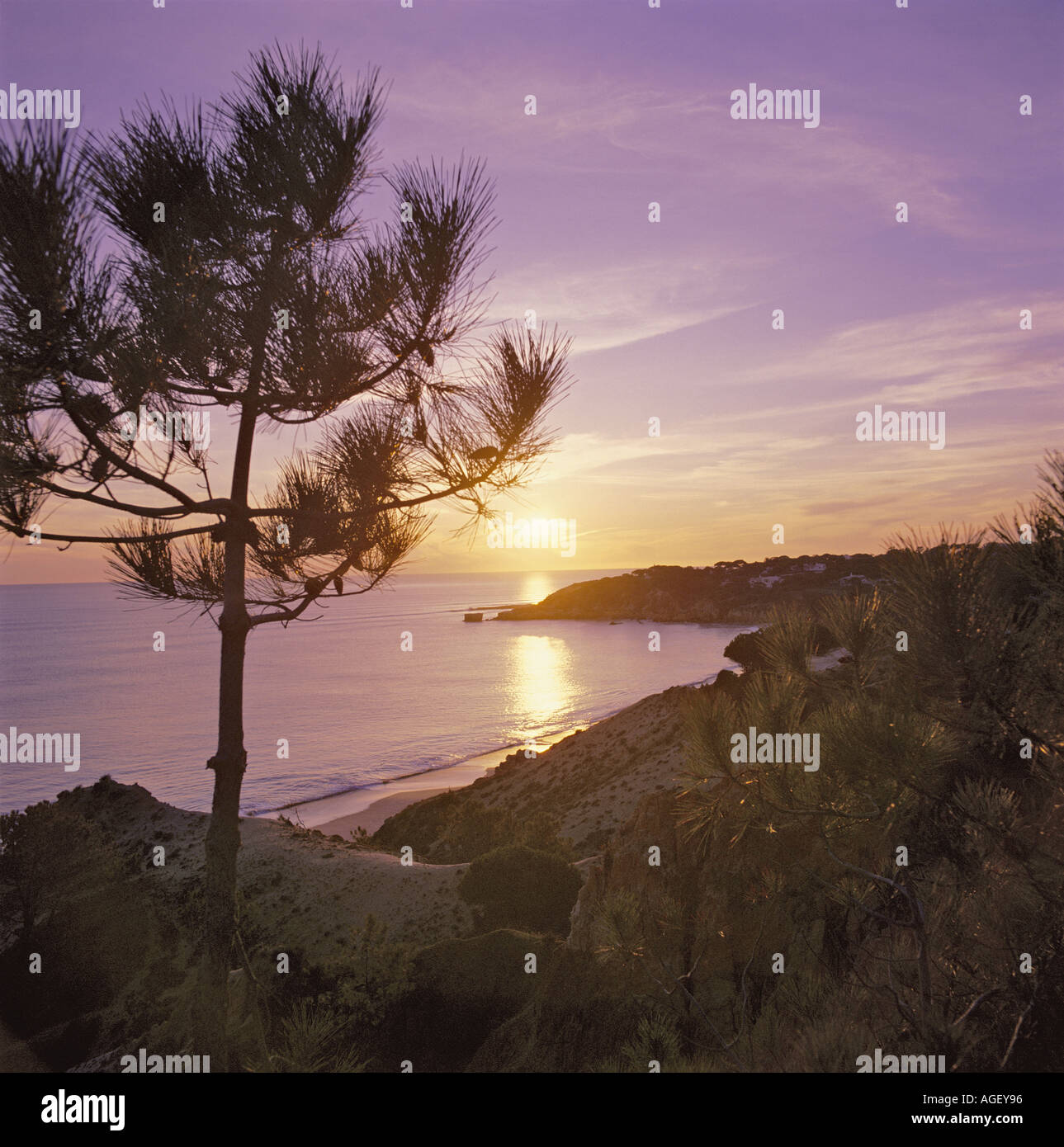 Beautiful sunset portugal beach hi-res stock photography and images - Alamy