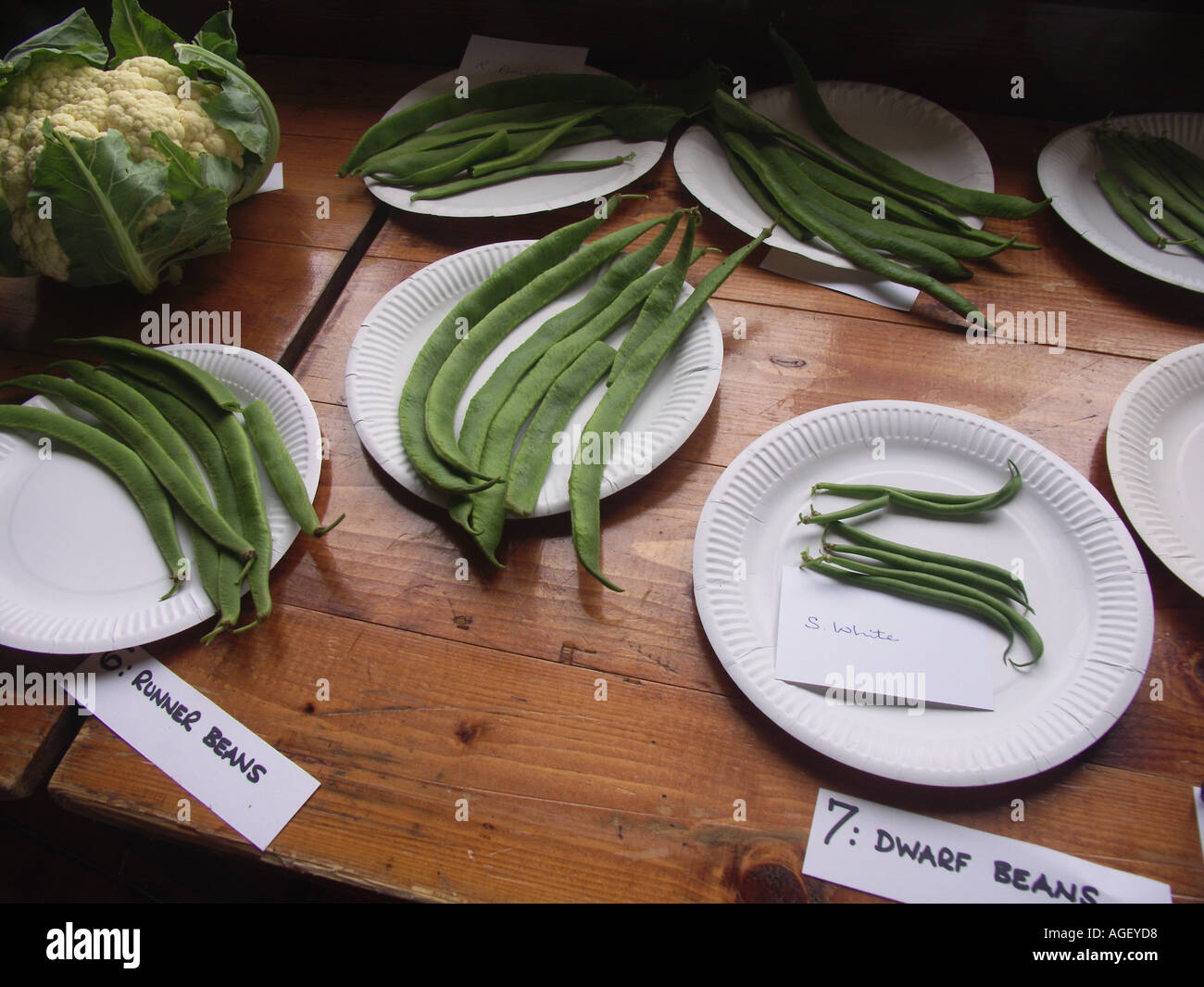 Prize winning runner beans vegetables Butley flower show Suffolk ...