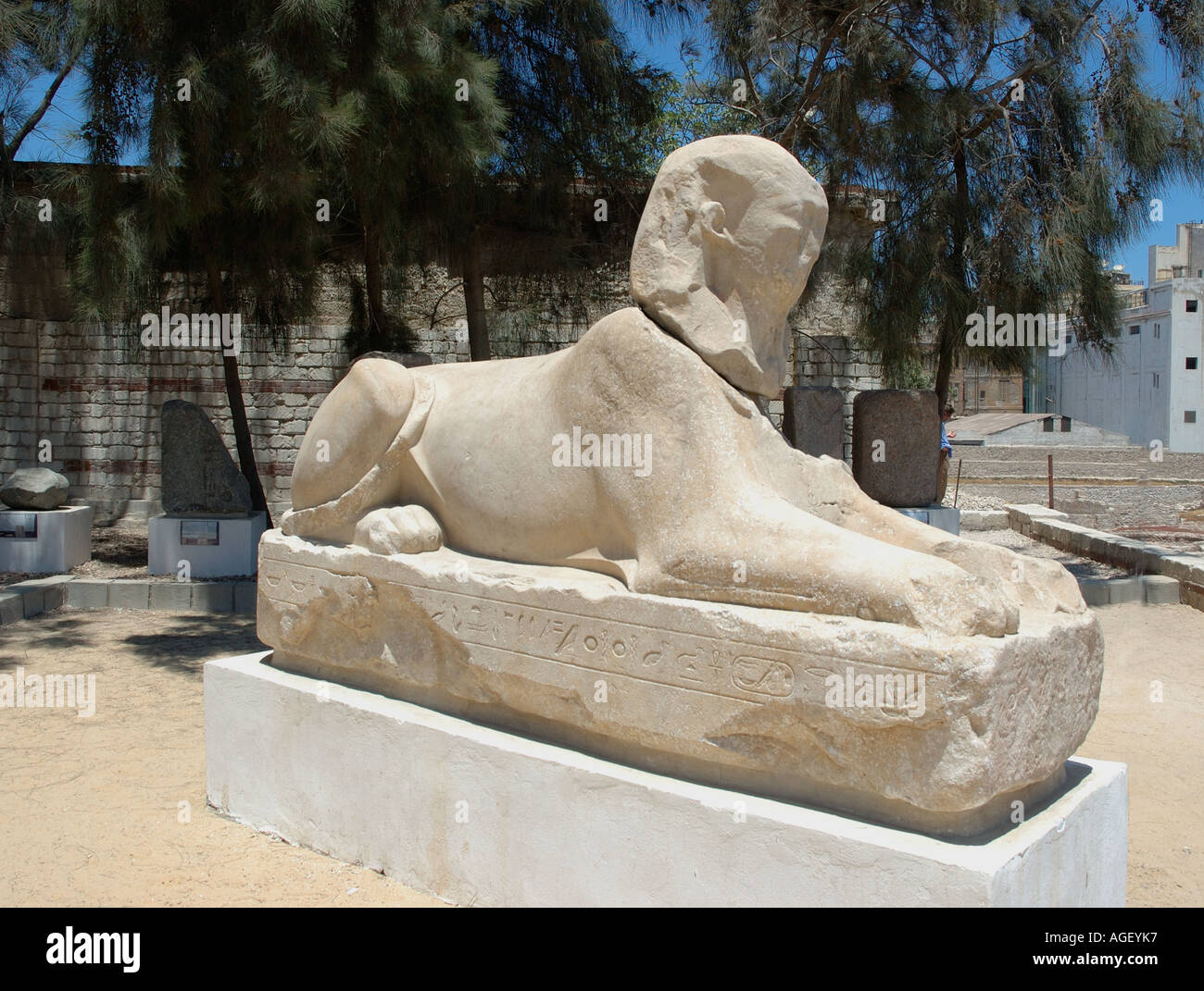 Egypt alexandria alexander great hi-res stock photography and images ...